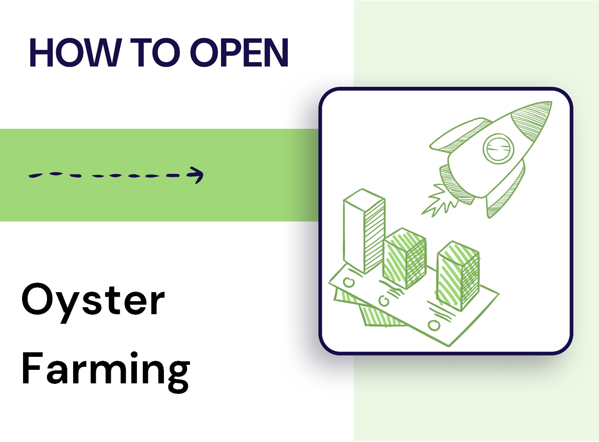 How Can You Successfully Open an Oyster Farm?