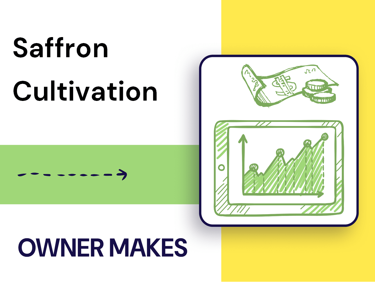 How Much Do Owners Earn from Saffron Cultivation?