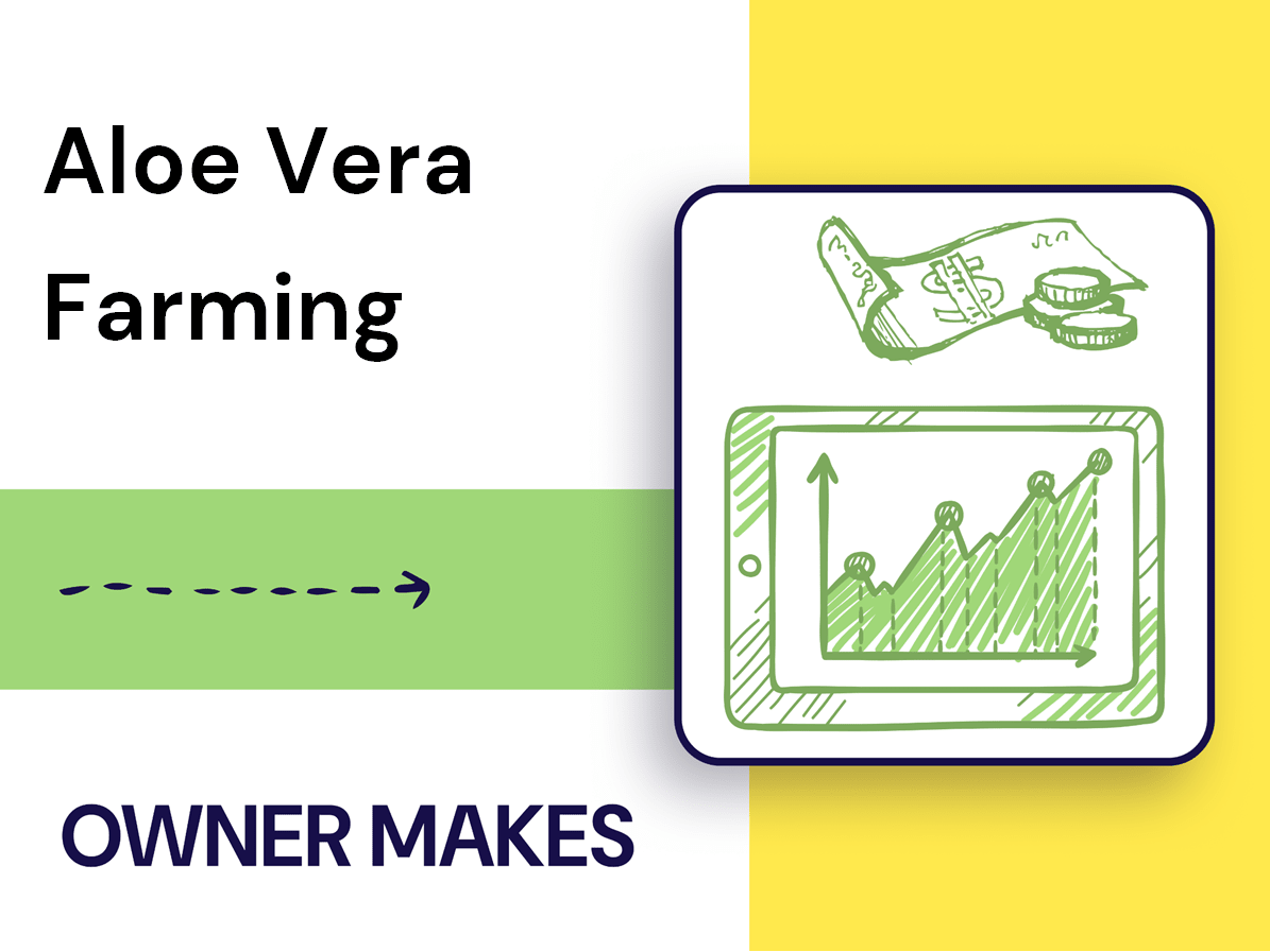 How Much Does an Owner Make from Aloe Vera Farming?