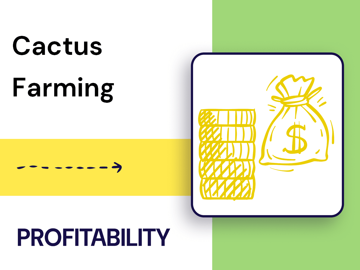 What Are the Top 5 Strategies to Maximize Cactus Farming Profitability?