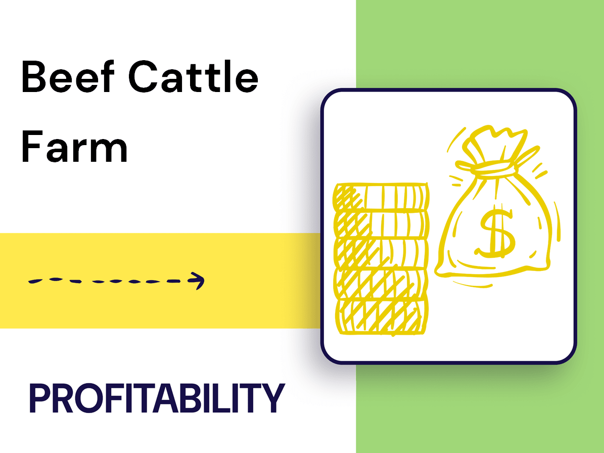 What Are the Top 5 Strategies to Maximize Beef Cattle Farm Profitability?