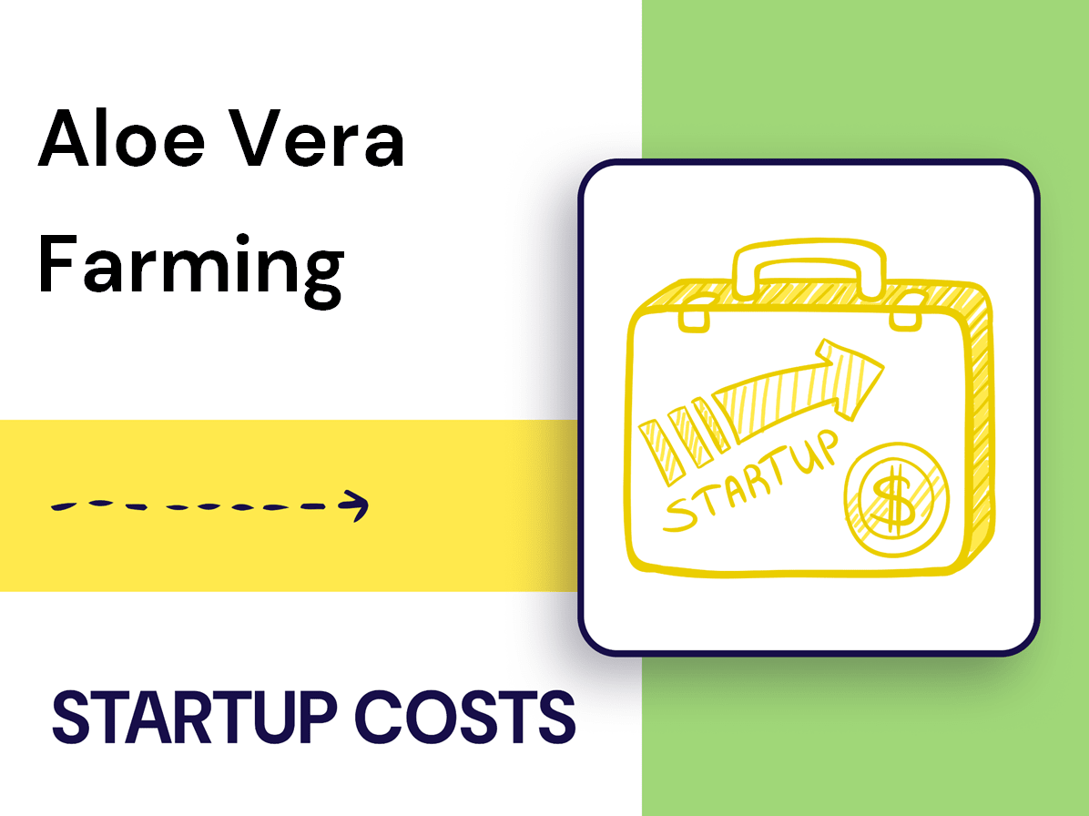 What Are the Startup Costs for Aloe Vera Farming?