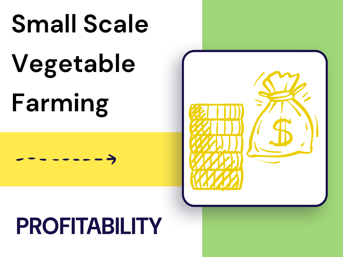 What Are the Top 5 Strategies to Maximize Profitability in Small-Scale ...