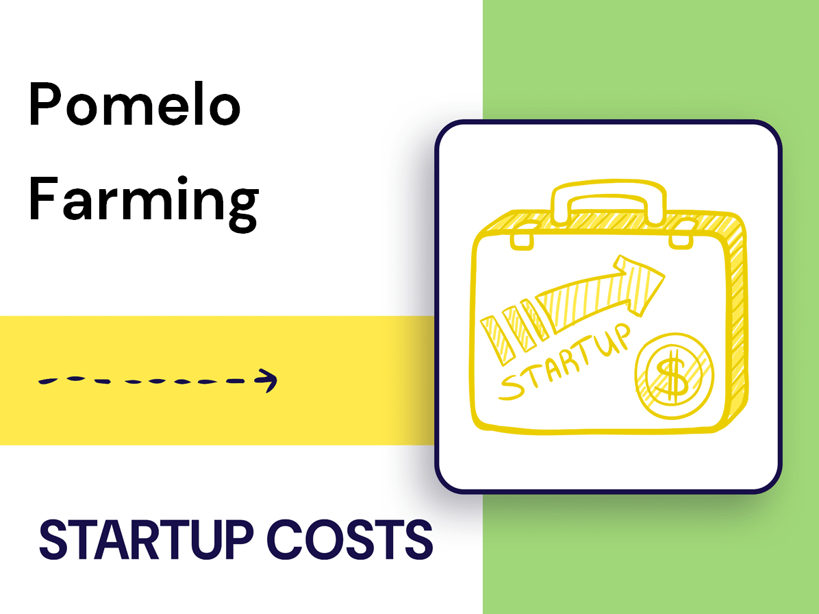 What Are the Startup Costs for Pomelo Farming?