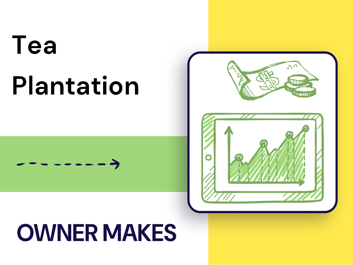 How Much Does an Owner Make from a Tea Plantation?