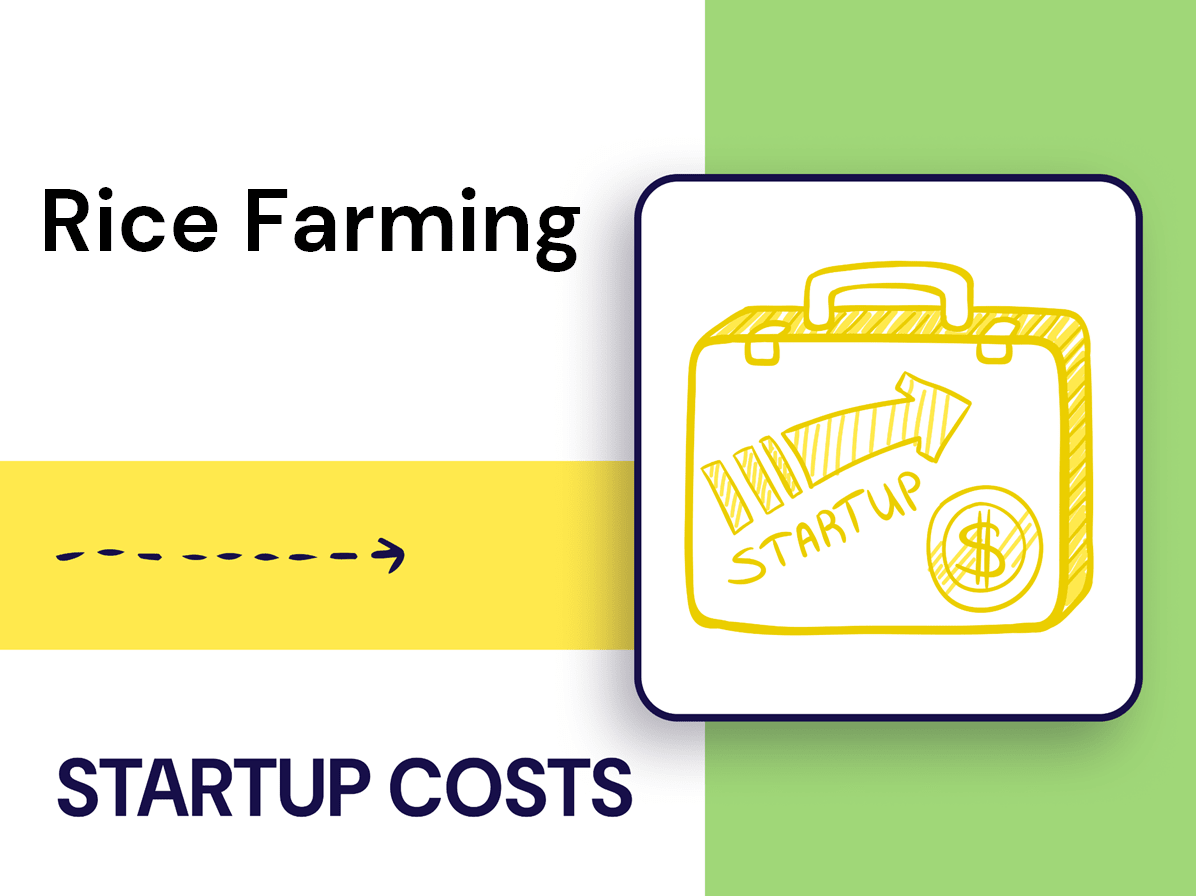 What Are the Startup Costs for Rice Farming?