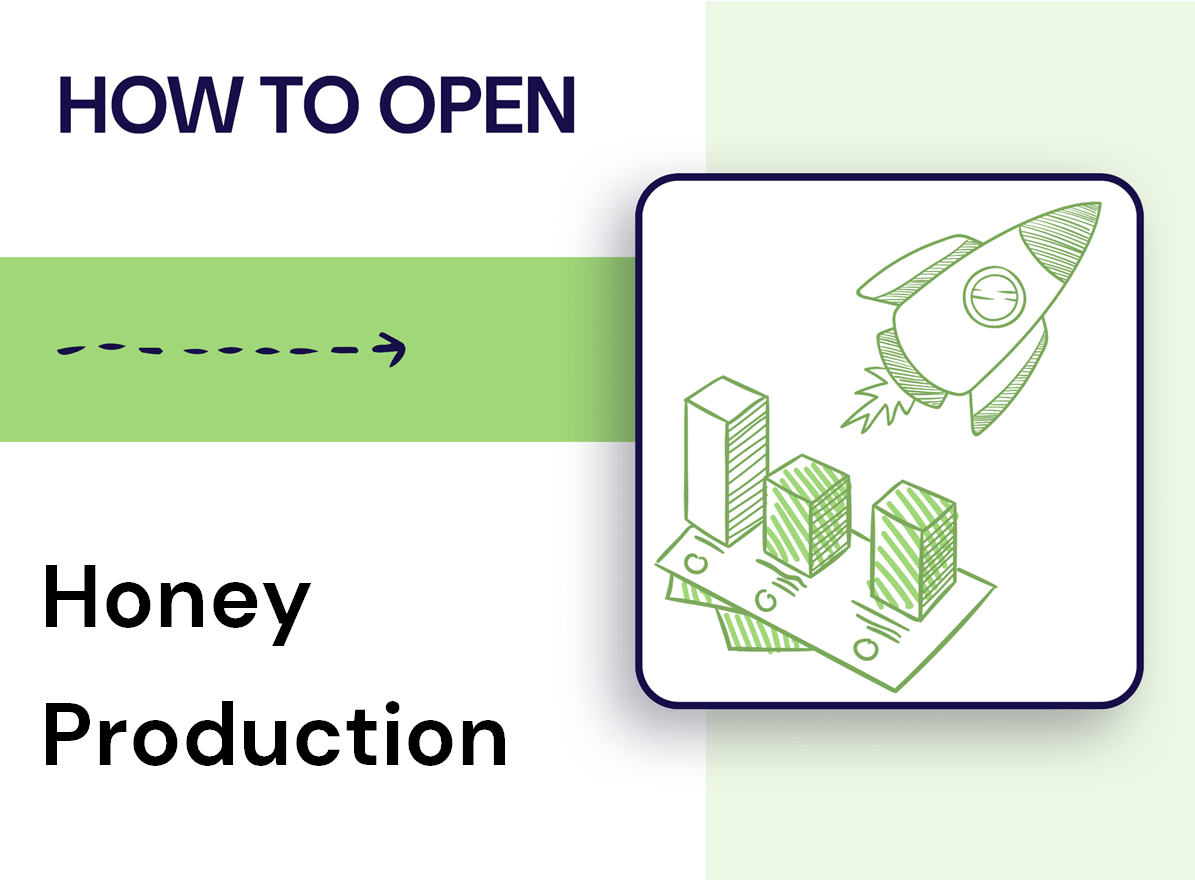 How to Start Honey Production Successfully?
