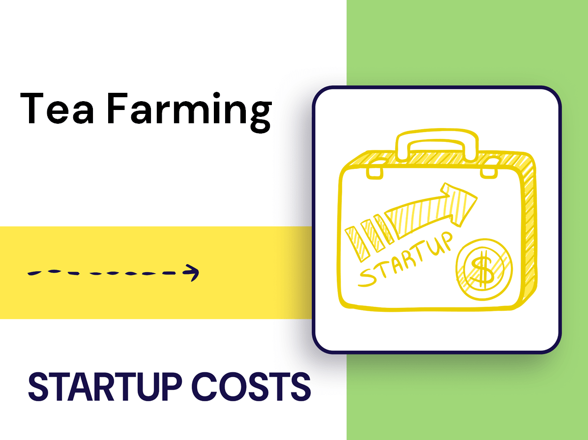 What Are the Startup Costs for Tea Farming?