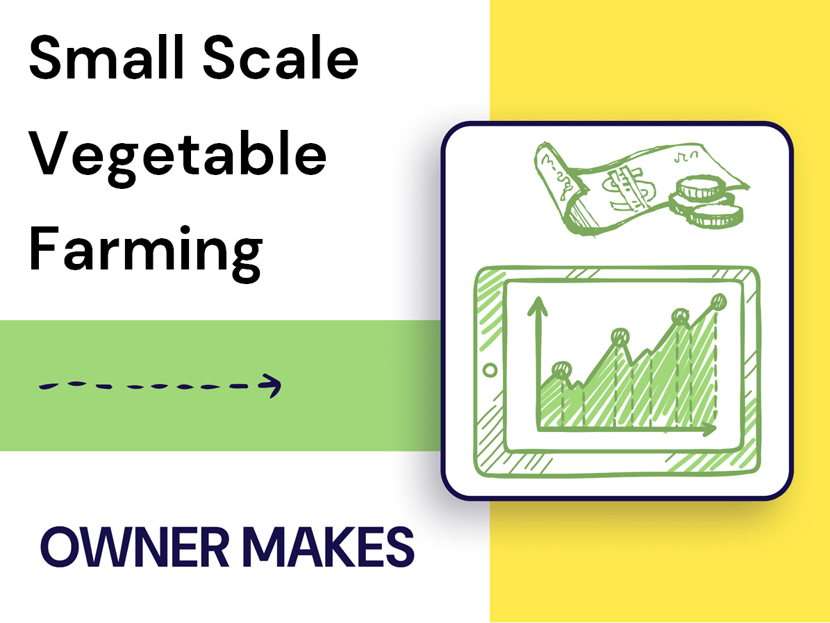 How Much Does an Owner Make in Small Scale Vegetable Farming?