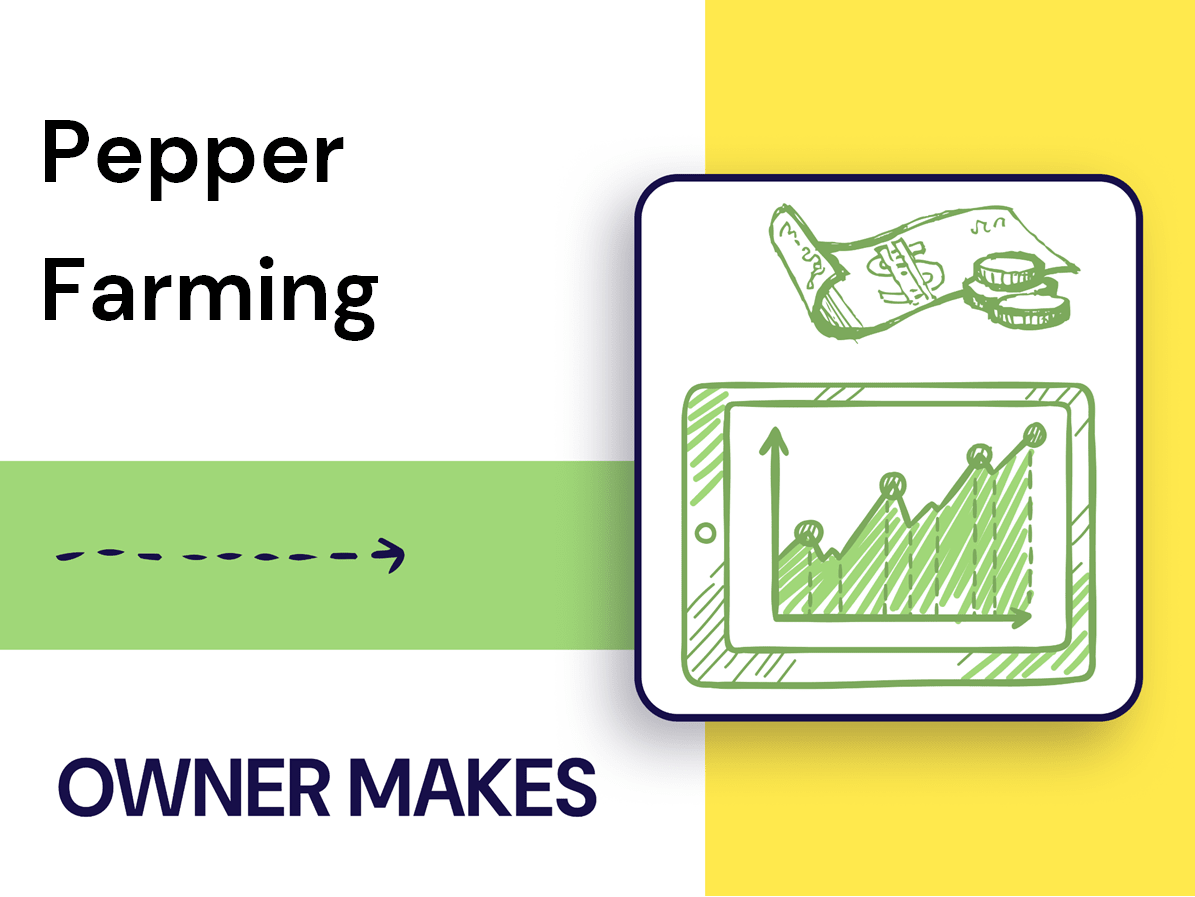 How Much Does an Owner Make from Pepper Farming?