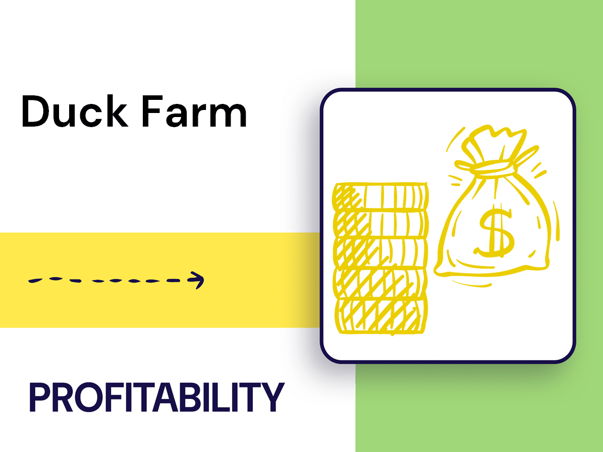 How Can Duck Farms Maximize Profitability with These 5 Top Strategies?