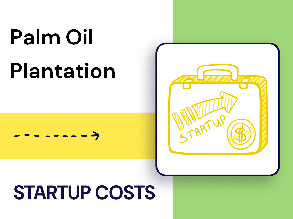 What Are the Startup Costs for a Palm Oil Plantation?